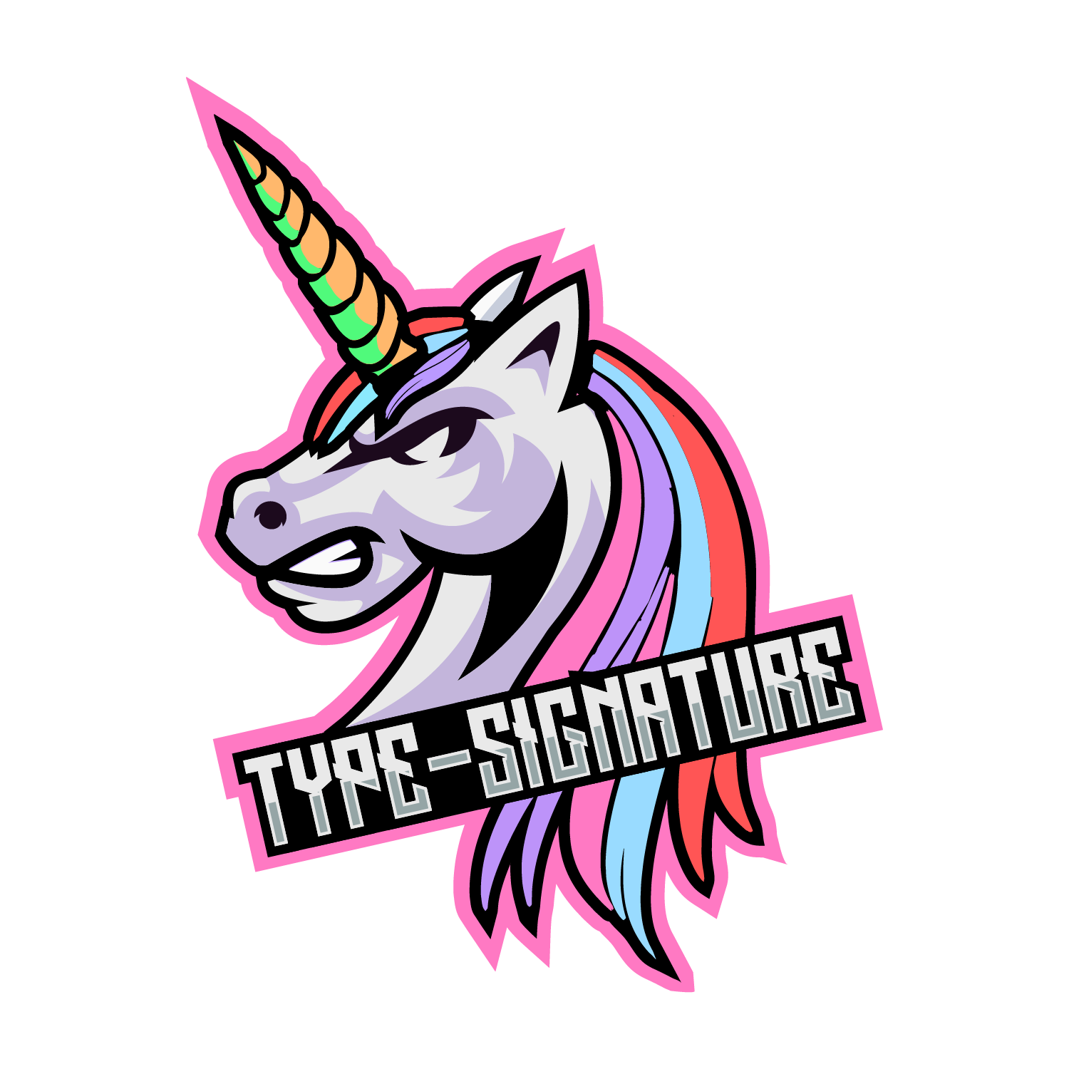 Type Signature